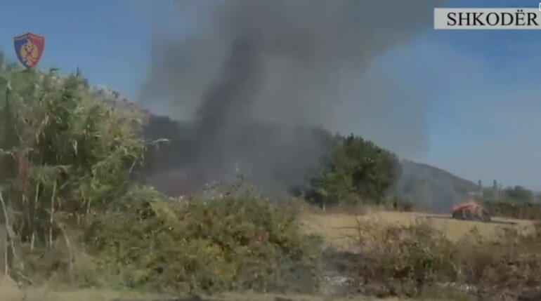 I vuri flakën një sipërfaqeje toke dhe dogji pemë, një stallë bagëtish ...